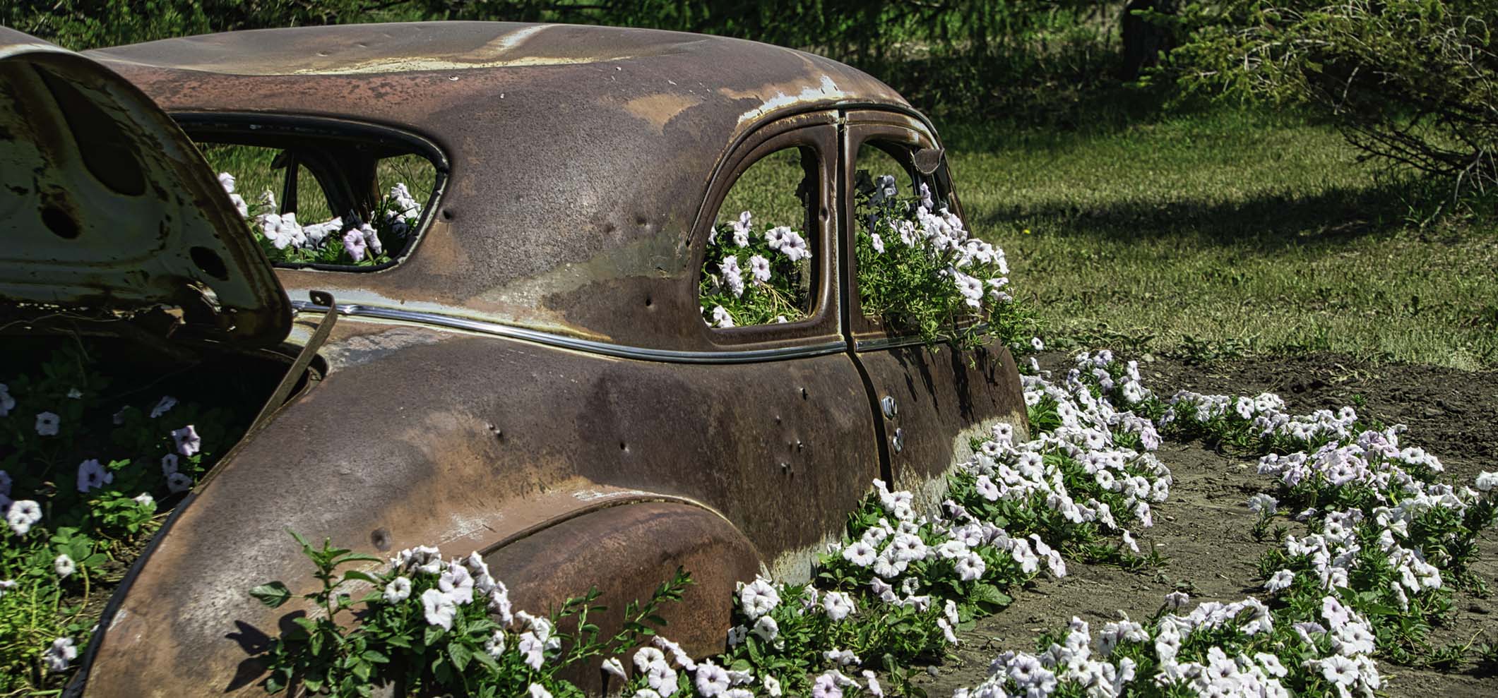 Taken your car for a drive lately? | sa move The RAA Magazine