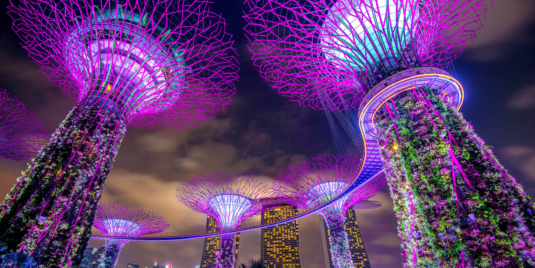 4 reasons to explore Singapore | samotor The RAA Magazine