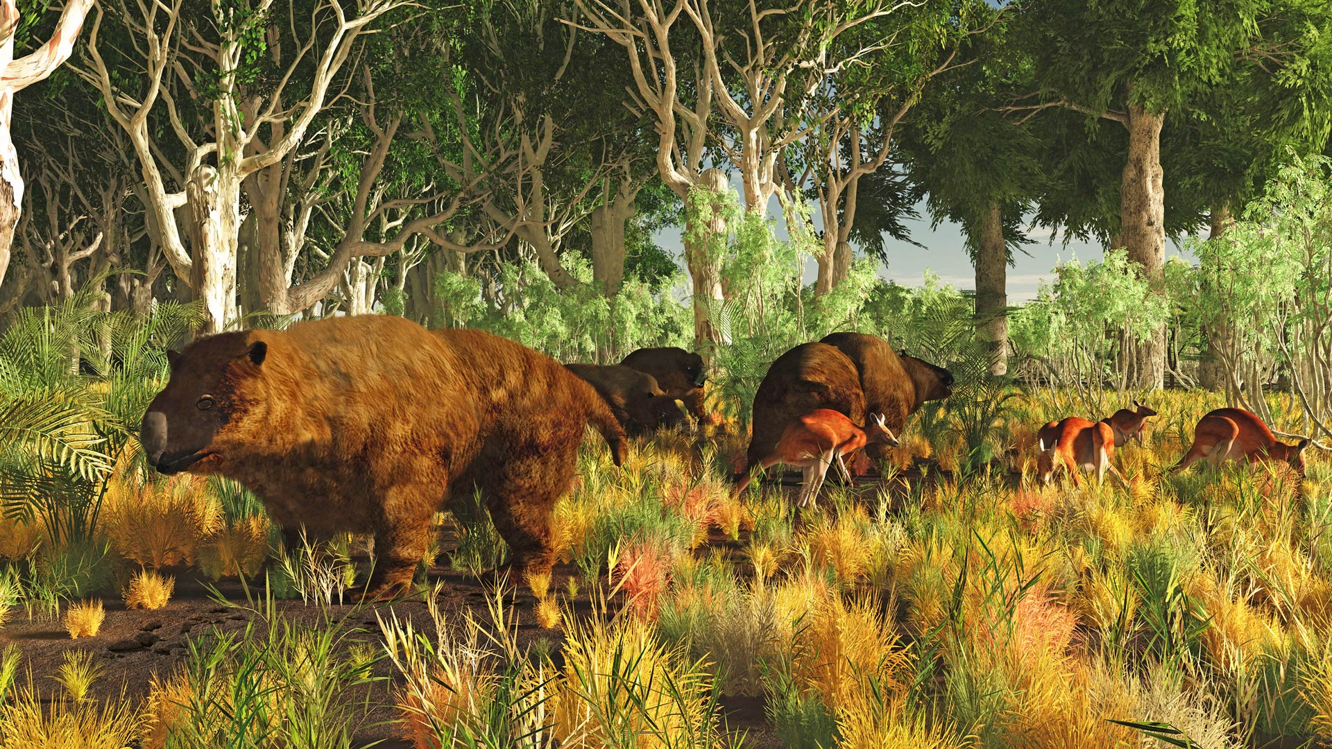 Unearthing SA's prehistoric past | sa move The RAA Magazine