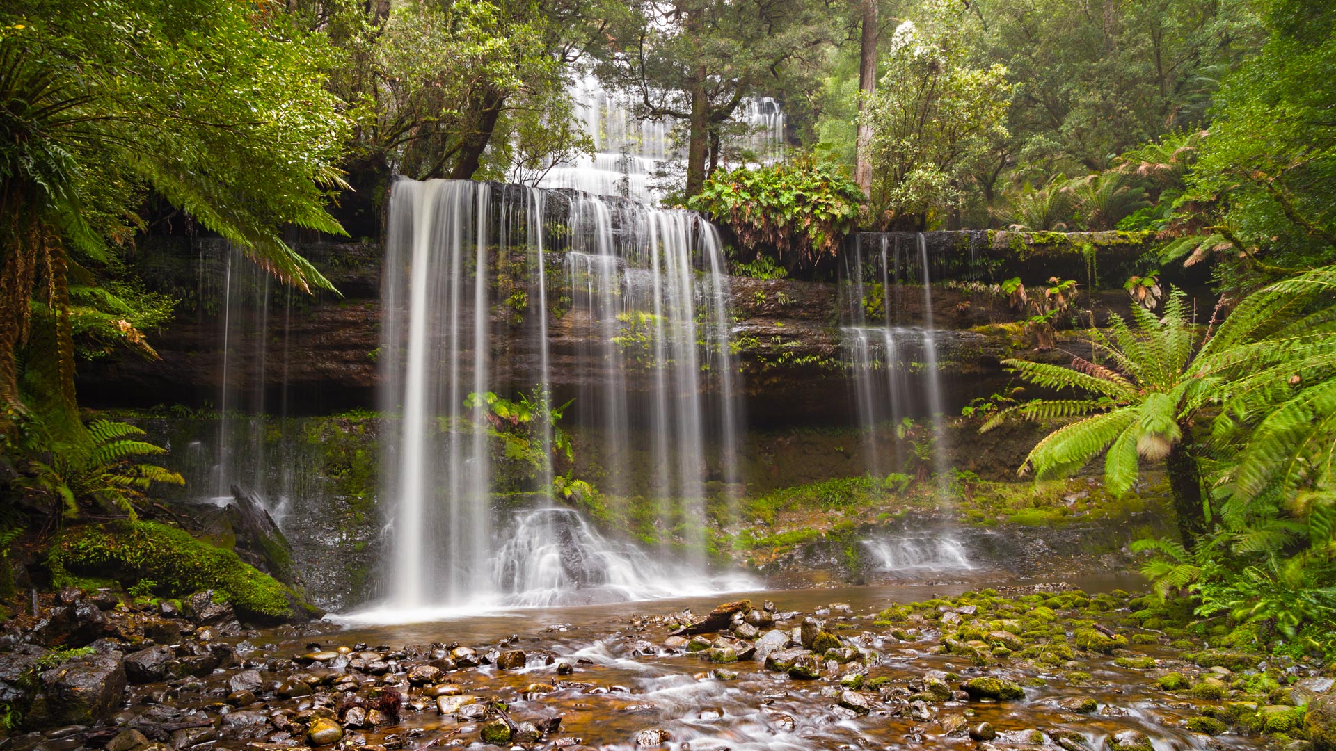 Tasmania's natural trail mix | sa move The RAA Magazine