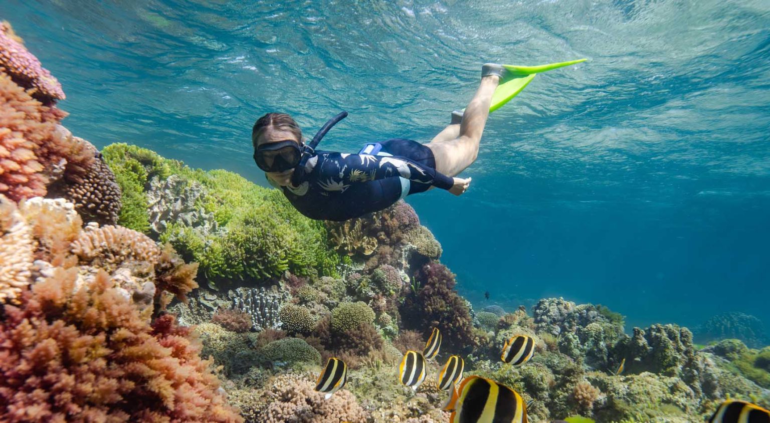 Beyond the Great Barrier Reef | sa move The RAA Magazine
