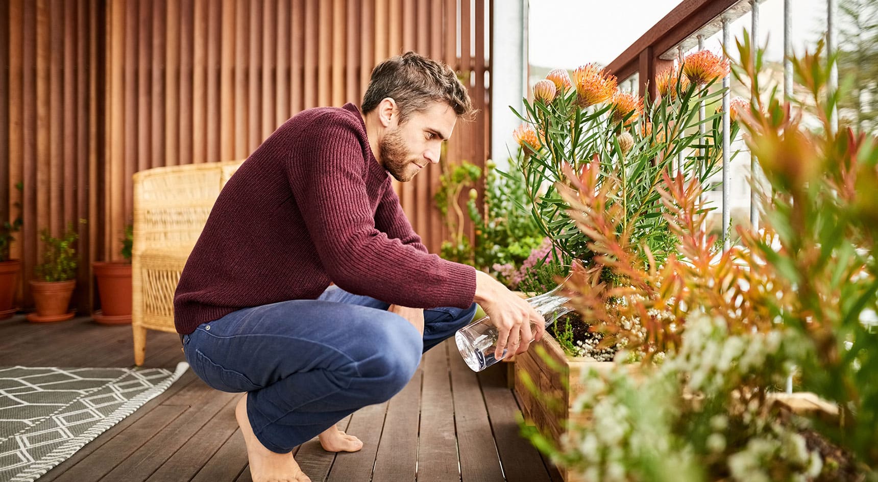 Spring garden success | sa move The RAA Magazine