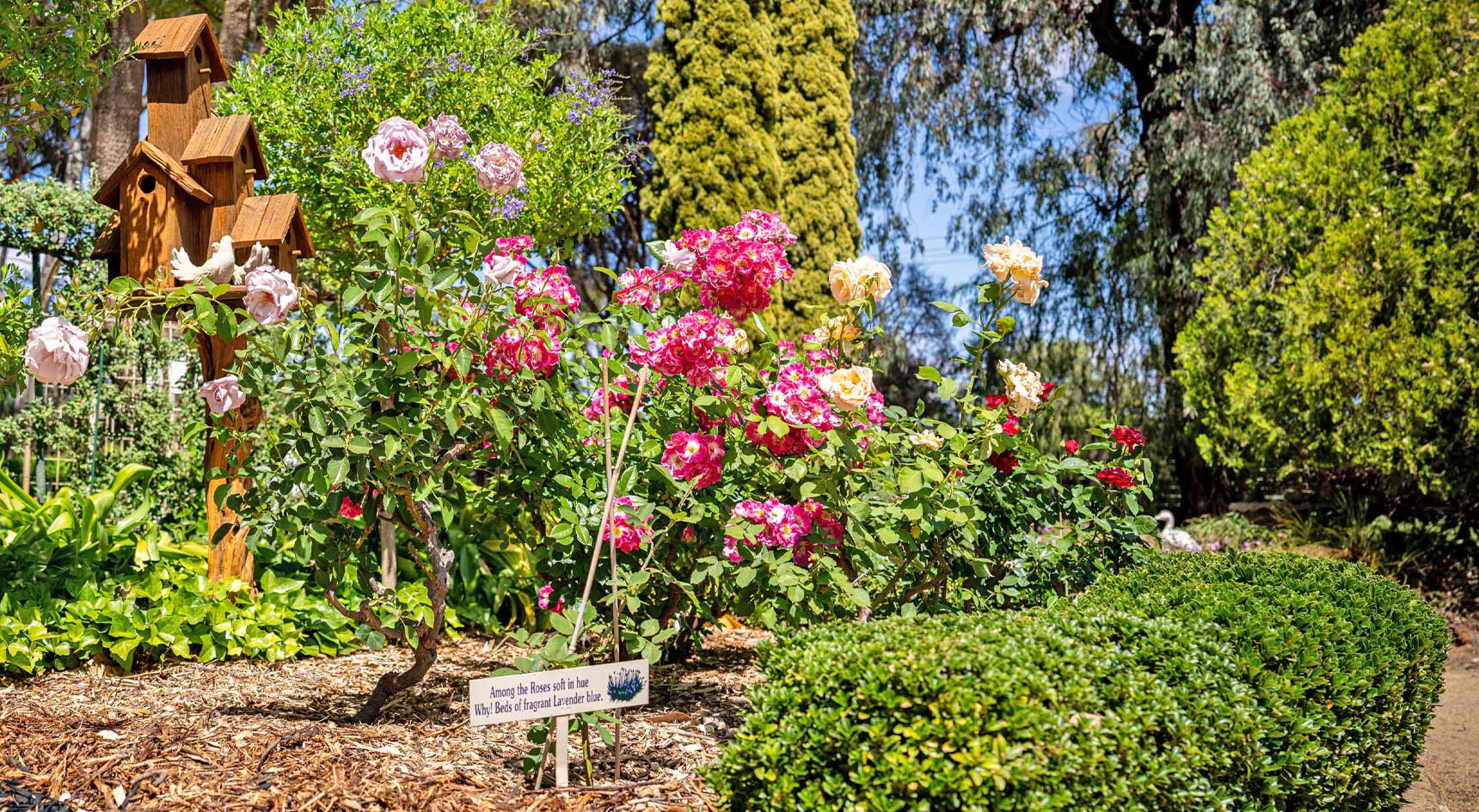 SA events to mark on your calendar | sa move The RAA Magazine