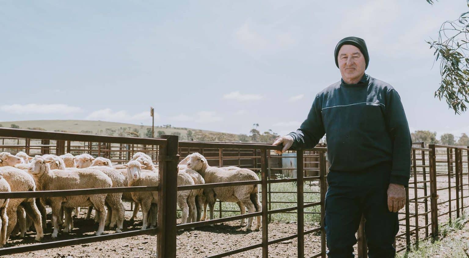 Our resilient regions | sa move The RAA Magazine